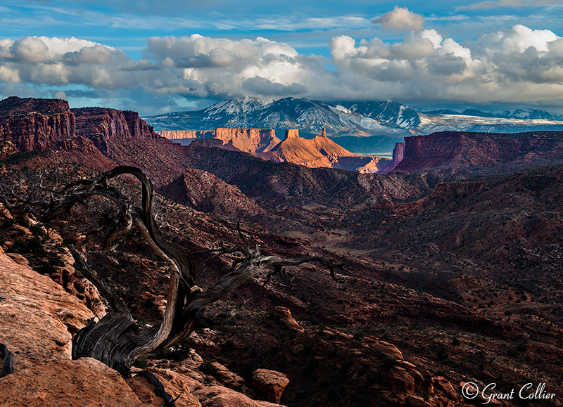 View of Castleton Tower from Cache Valley near Moab
