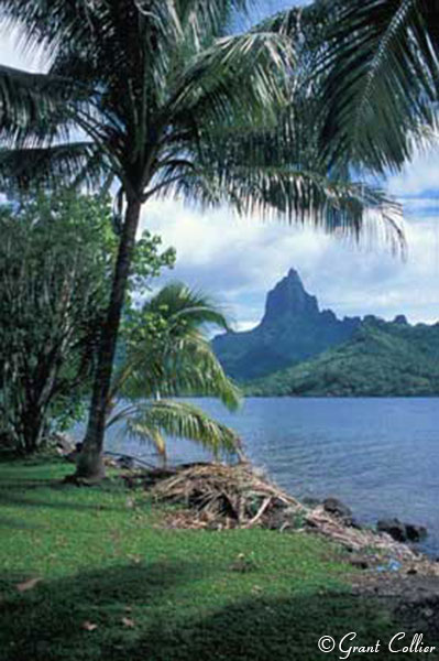 Opunohu Bay, Moorea Tahiti, Mount Rotui